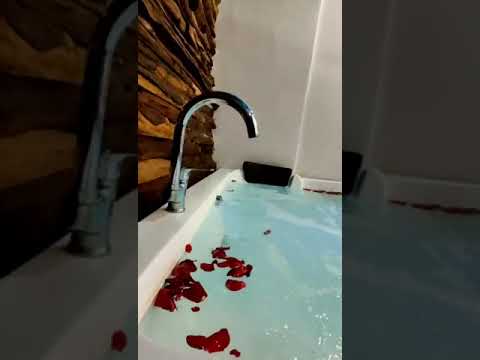 Royale Retreat Shimla : Premium Lounge ( Best Hotel in Mall Road Shimla ) #himachaltourism