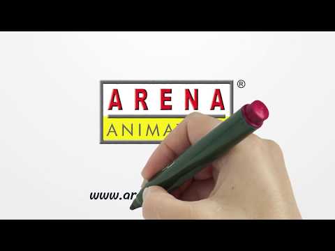 The Complete Graphics Design Theory Course - Arena Animation Tilak Road