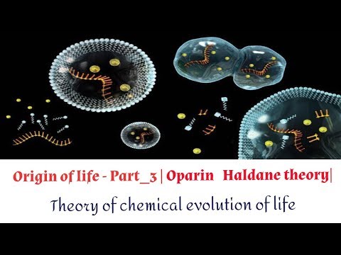 Origin of life - Part_3 | Oparin − Haldane theory | Theory of chemical evolution of life | [Hindi]