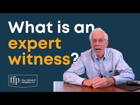 What is an expert witness?