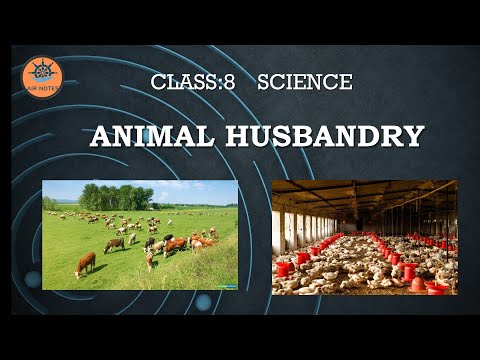 Class 8 Science: Animal Husbandry