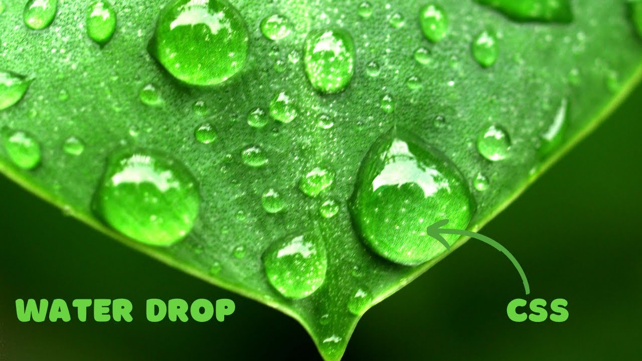 Water Drop Effect in CSS - 2022