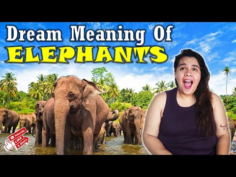 Elephant dream meaning- Top 3 most terrifying elephant dreams