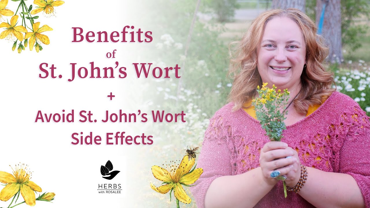 Benefits of St  John's Wort + Avoid St  John's Wort Side Effects