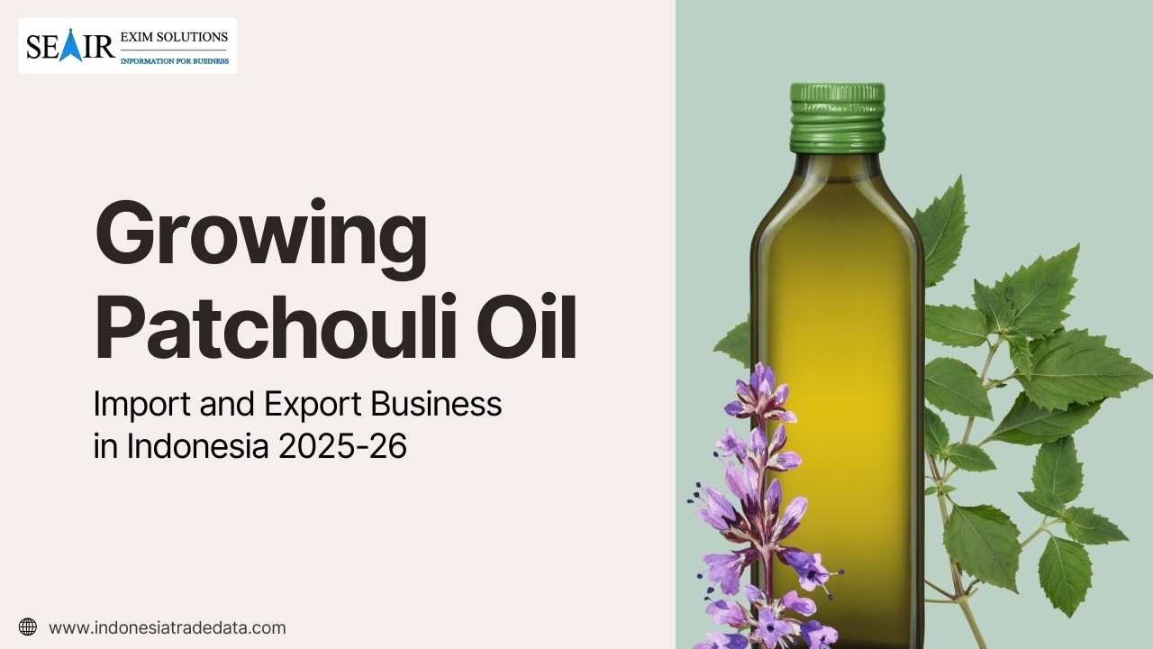 Growing Patchouli Oil Import & Export Business in Indonesia 2025