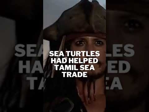 Interesting Facts About Tamil | Tamil Language | Tamil History | Infodian | #shorts