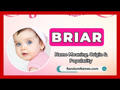 Briar - Baby Girl Name Meaning, Origin & Popularity - RandomNames.com