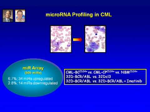 miRNA Decoy in Tumor Suppression