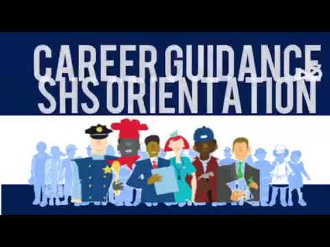 Virtual Career Guidance Program