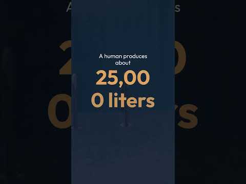 Quick & Crazy Human Body Facts in Just 60 Seconds!