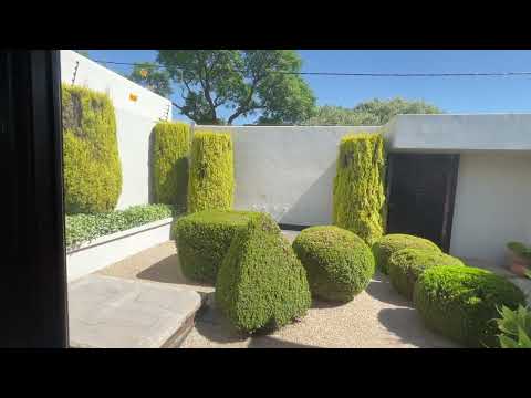 Home Shopping in Parkhurst l Johannesburg, South Africa