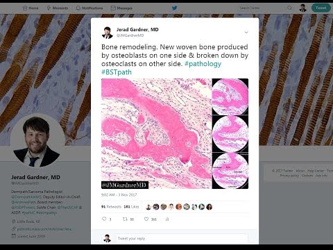 Social Media in Pathology Education