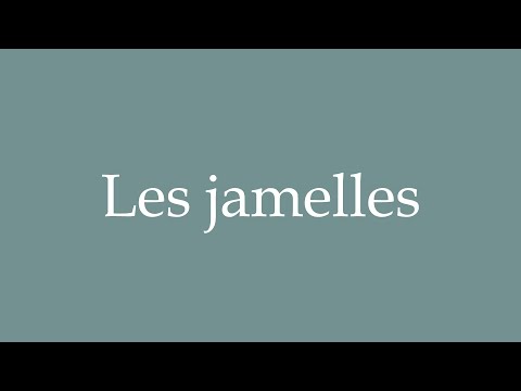 How to Pronounce ''Les jamelles'' Correctly in French