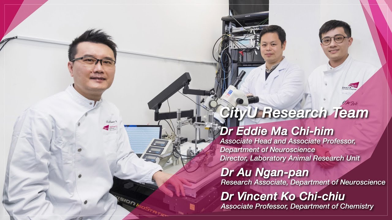 City University of Hong Kong (CityUHK) : Rankings, Fees & Courses ...