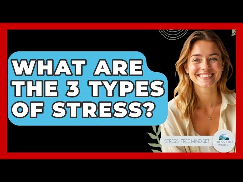 What Are the 3 Types of Stress? - Stress Free Mindset