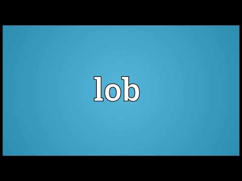 Lob Meaning
