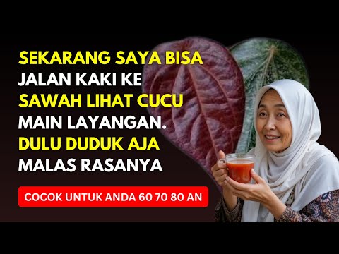 4 Efek Mengejutkan dari Minum Rebusan Daun Sirih Merah Setiap Hari