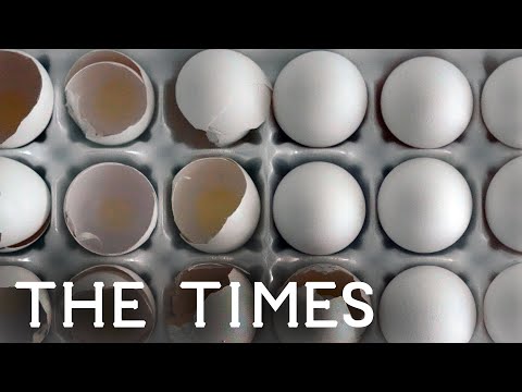 What’s up with eggs? | Podcast