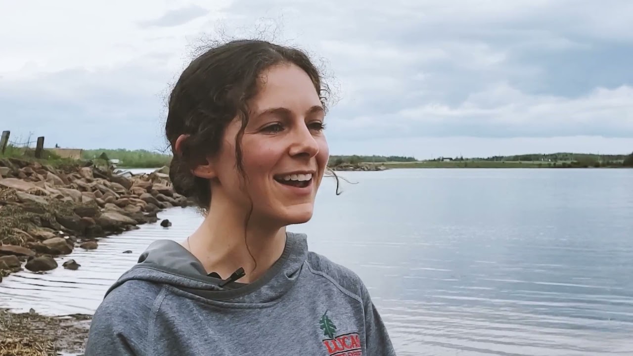 Make the Outdoors Your Office | Lucas Tree Experts | Nova Scotia