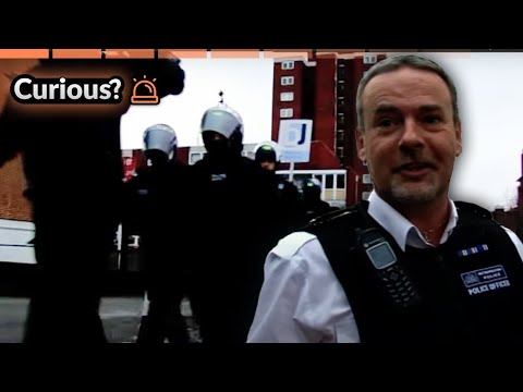 West London Crime Bust | Brit Cops