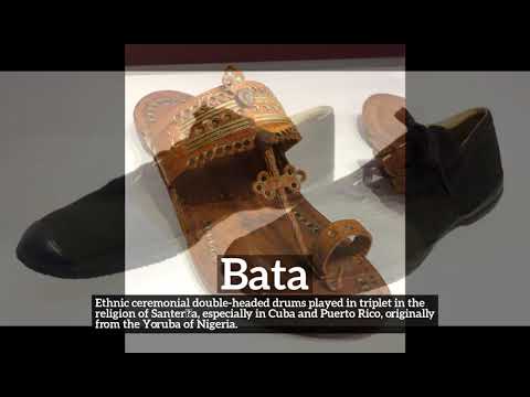 What is Bata? | How Does Bata Look? | How to Say Bata in English?