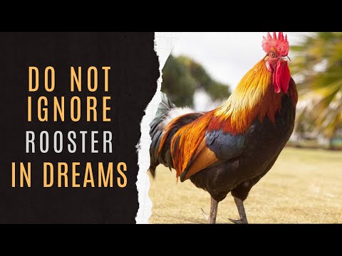 🐓Rooster Dream Symbolism | Dream Of Rooster Meaning | Spiritual Meaning Of Rooster Dream