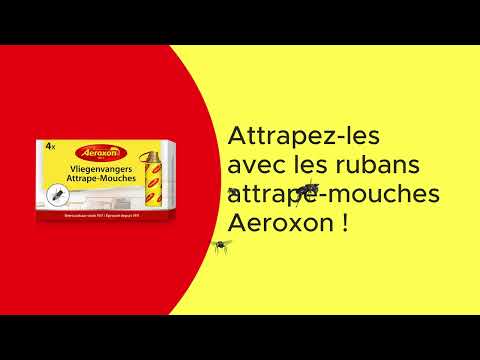 BSI Aeroxon vliegenvangers FR