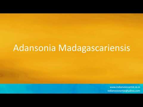 Pronunciation of the word(s) "Adansonia Madagascariensis".