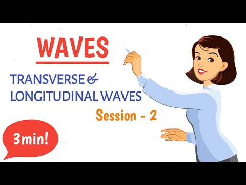 Transverse & Longitudinal Waves | Waves | Physics | iAcademy - Global Education