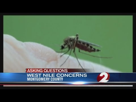 No West Nile found in this area so far