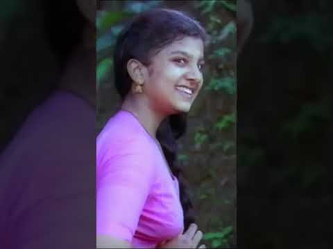 അർഥം വെച്ചുള്ള അവളുടെ ഒരു നോട്ടം | Sargam Movie | Rambha | Vineeth #shorts