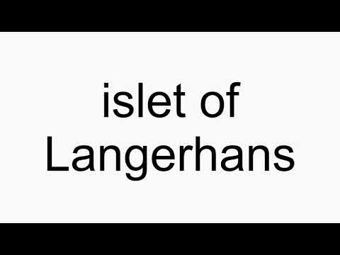 How to pronounce islet of Langerhans