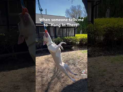 Hang in thereβ¦β¦..#funny #relatable