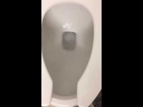1023: 2010's Sloan ST-2009 toilet