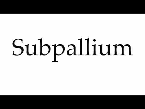 How to Pronounce Subpallium