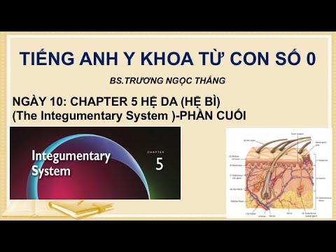 TIẾNG ANH Y KHOA TỪ CON SỐ 0: NGÀY 10- CHAPTER 5 HỆ DA (HỆ BÌ) (The Integumentary System)- PHẦN CUỐI