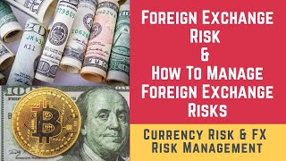 Foreign Exchange Risk and How To Manage Foreign Exchange Risks (Currency Risk & FX Risk Management)