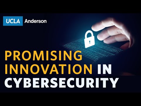 Cybersecurity: Risks, Opportunities, and Areas of Promising Innovation