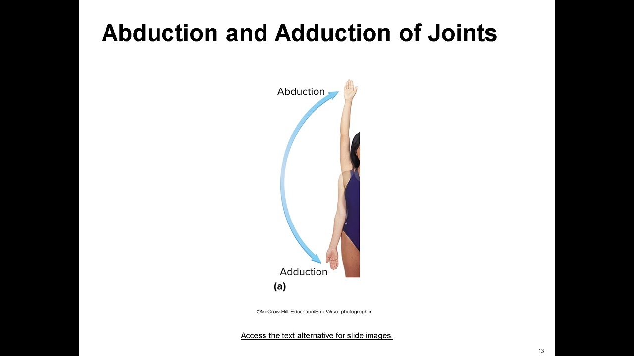 Mastering Medical Terminology Chapter 14: Skeletal System