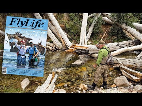 FlyLife Magazine - Issue 89 - Spring 2017