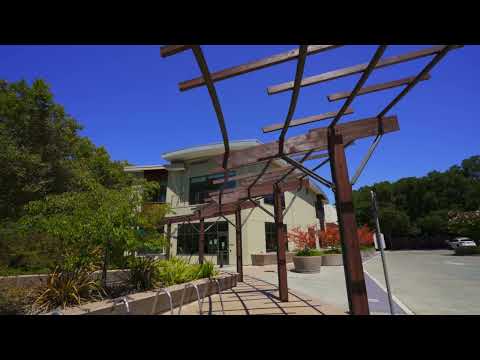 Walnut Creek Library - Walnut Creek, CA
