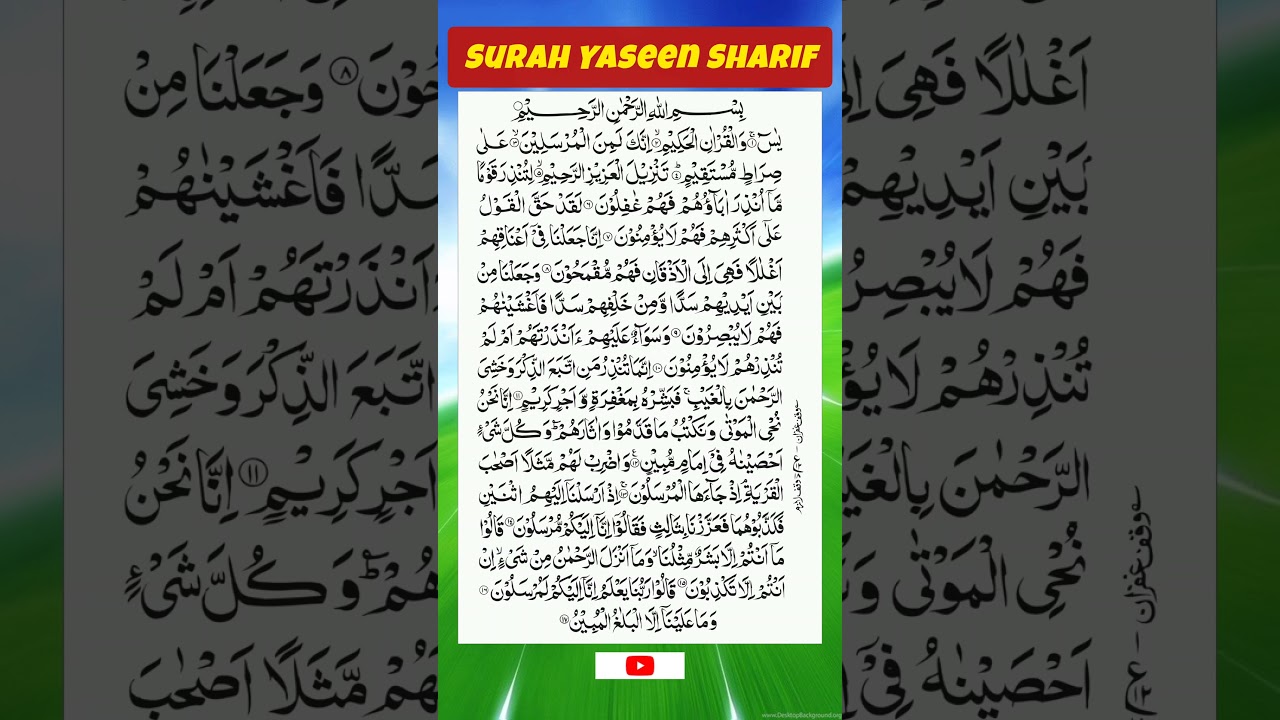 surah yaseen sharif | surah yaseen | yaseen surah | yasin sharif #surahyaseen #yaseensurah #shorts