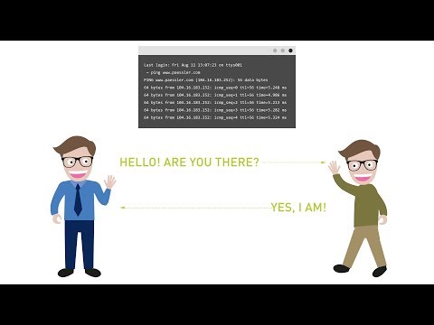 What is Ping? - IT Explained