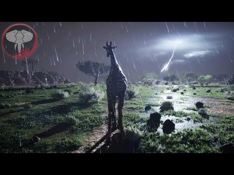 Becoming a Elder Giraffe | Animalia Survival