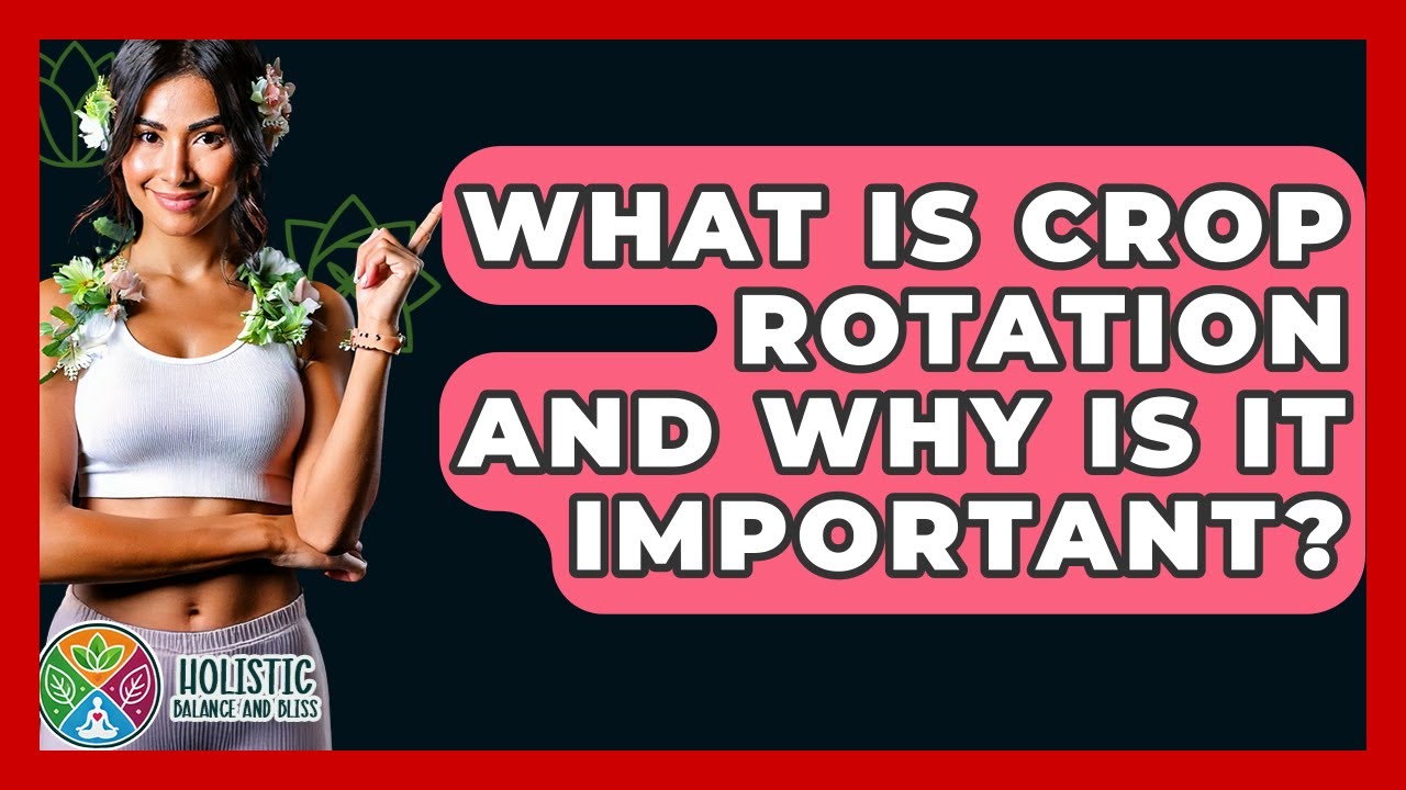 What Is Crop Rotation And Why Is It Important? - Holistic Balance And Bliss