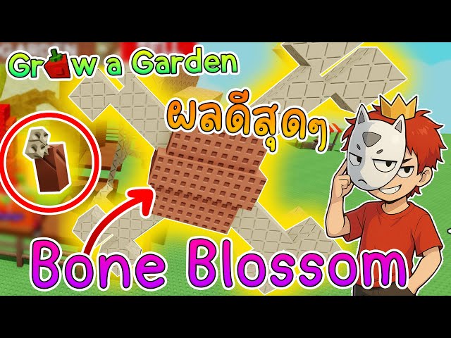 🌊 รีวิว Bone Blossom ผลที่ดีที่สุดในตอนนี้?! | Grow a Garden | วิดีโอค ...