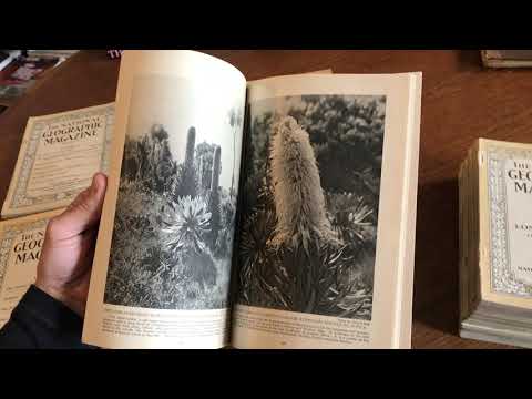 National Geographic magazines 1912-1928 Lot x 15 issues wonderful pics ads