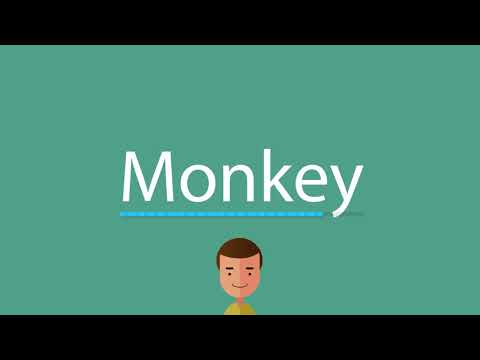 How to pronounce Monkey