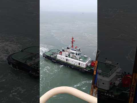 Tug Assisting Maersk Mega Ship to Berth #viral #youtubeshorts #shorts #shortsfeed #short