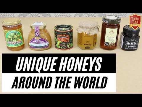 AMAZING HONEY TASTE TEST! | FASCINATING Comparison! | World’s BEST HONEY??? -Tupelo Acacia, Manuka..